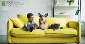 Celebrating the Profound Benefits of Family Pets on National Love Your ...